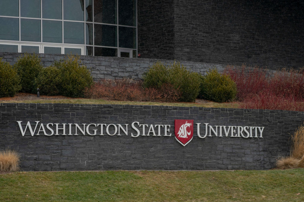Washington State University Suspends Medical Course Days After Single ...